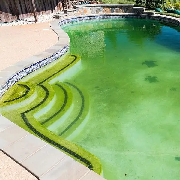 7 Reasons Your Swimming Pool Turns Green Abu dhabi